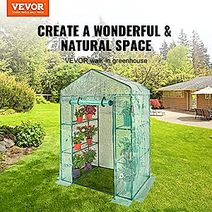 VEVOR Walk-in Green House, 55.5 x 29.3 x 80.7 inch, Portable Greenhouse with Shelves, High Strength PE Cover with Roll-up Zipper Door and Steel Frame, Set Up in Minutes, for Planting and Storage