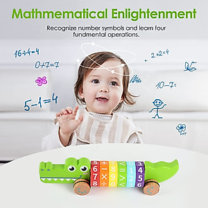 Alligator Pull Toys|Montessori Wooden Toys|Abacus for Toddlers 1-3|Preschool Educational Toys