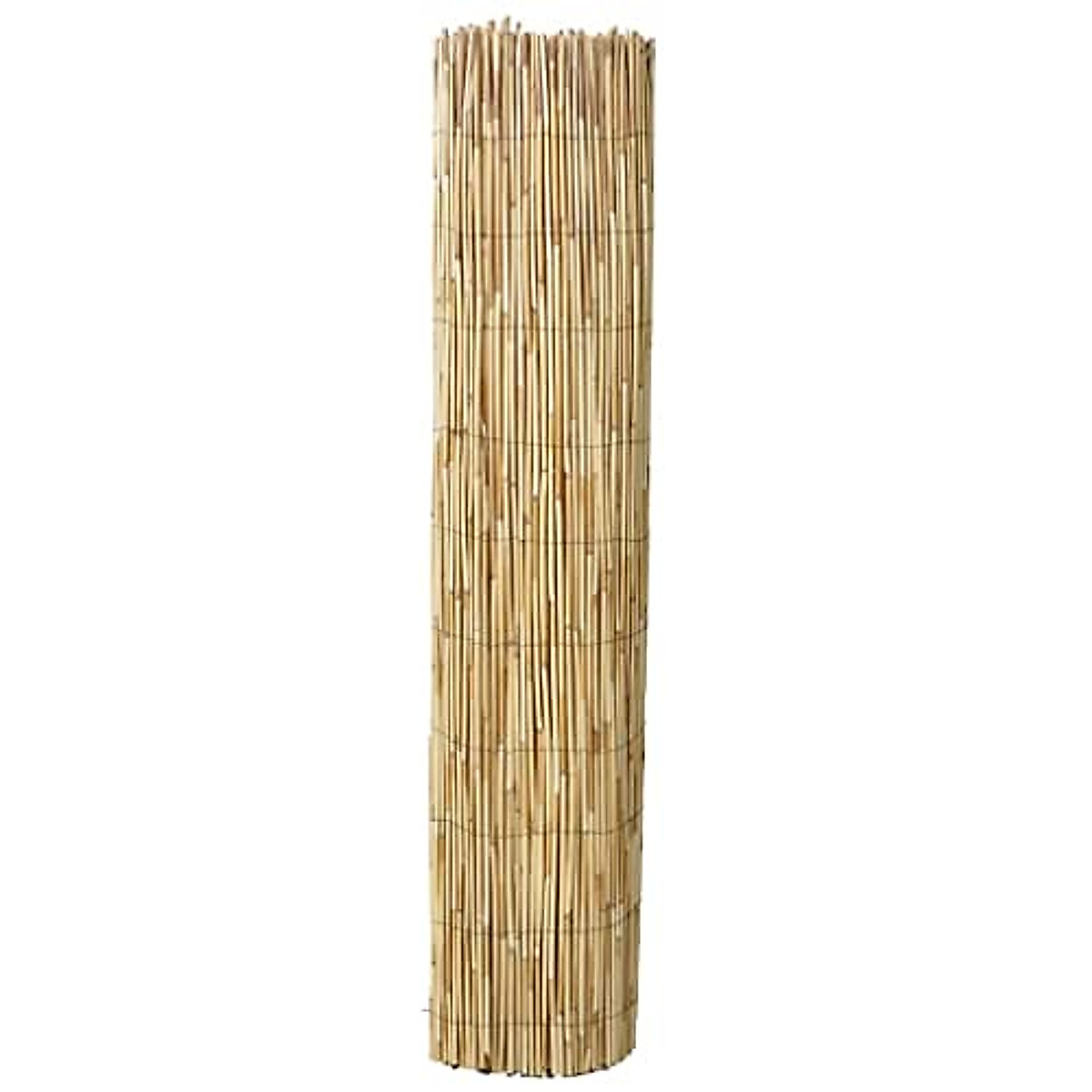 vidaXL Garden Reed Fence Outdoor Outside Yard Patio Backyard Furniture Wall Fence Panel Safety Privacy Barrier Decoration 66.9"x393.7"