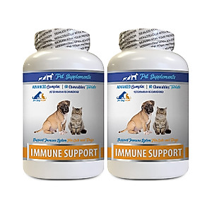 cat Skin and Coat - PET Immune Support - Dogs and Cats - VETS Choice - Chews - Turmeric Cats - 2 Bottles (120 Treats)