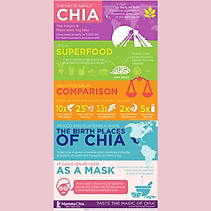 Mamma Chia Organic Vitality Squeeze Snack, Blackberry Bliss, 24- 3.5 Ounce Chia Pouches. USDA Organic, Non-GMO, Vegan, Gluten Free, and Kosher. Fruit and Vegetables with only 70 Calories