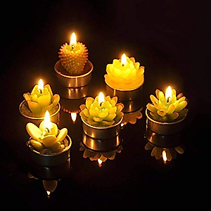 SSleng Cactus Tealight Candles, Handmade Delicate Succulent Cactus Candles（ Perfect for Birthday Party ,Wedding, Spa, Home Decor)