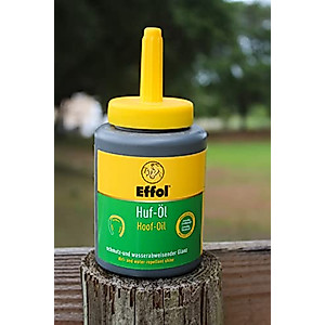 Tack Shack of Ocala Effol Hoof Ointment, Effol Hoof Oil, Effol Black Hoof Ointment, Hoof Ointment for Horses, Hoof Oil for Horses, Hoof Care for Horses, Hoof Ointment (Hoof Oil (16.7 fl oz))