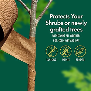 Treekote Brown Paper Tree Wrap - 4" x 150' Commercial Outdoor Use