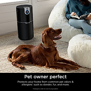 Shark HP202 Clean Sense Air Purifier MAX for Home, Allergies, HEPA Filter, 1200 Sq Ft, XL Room, Living Room, Whole Home, Captures 99.98% of Particles, Pollutants, Dust, Smoke, Allergens & Smells, Grey