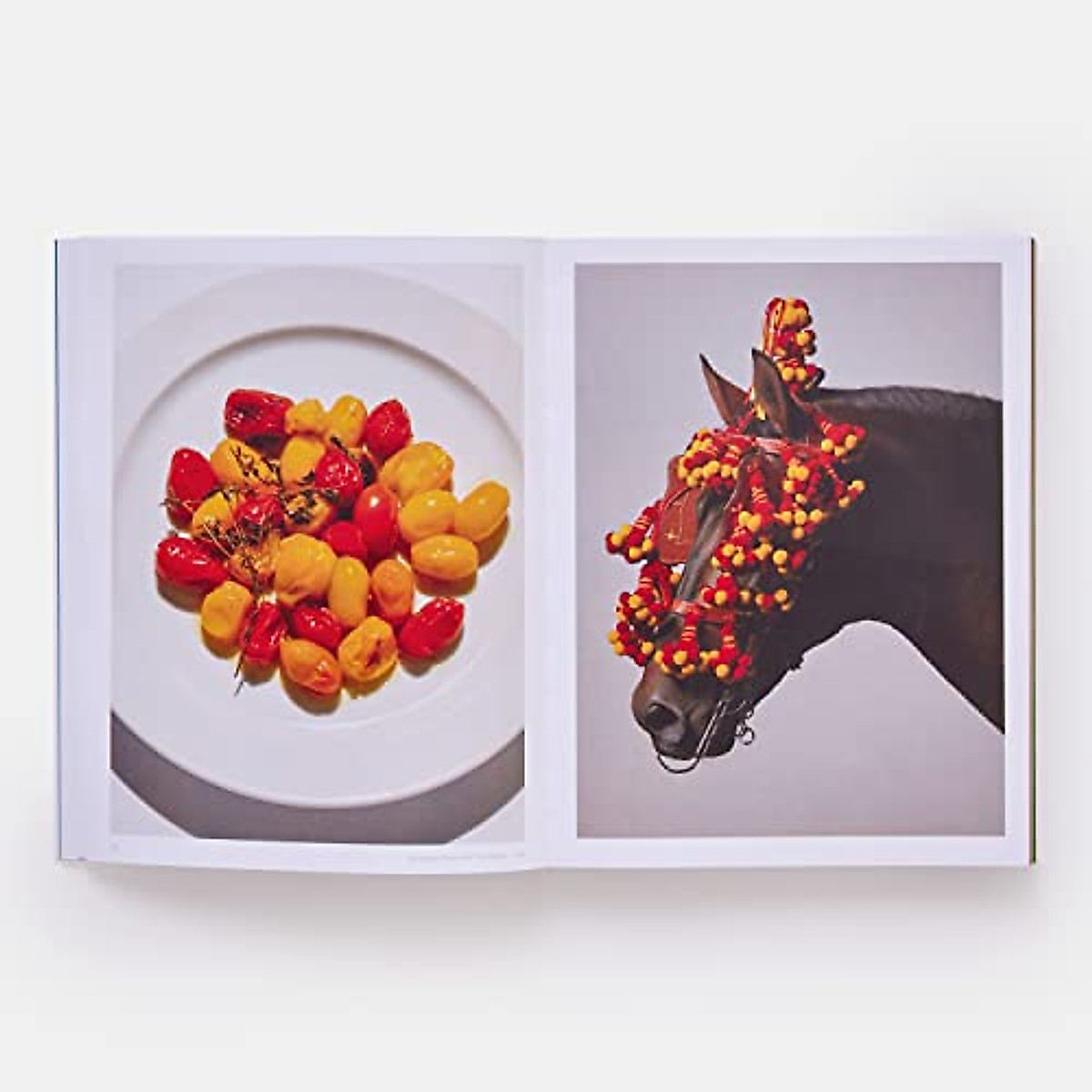 The River Cafe Look Book, Recipes for Kids of all Ages