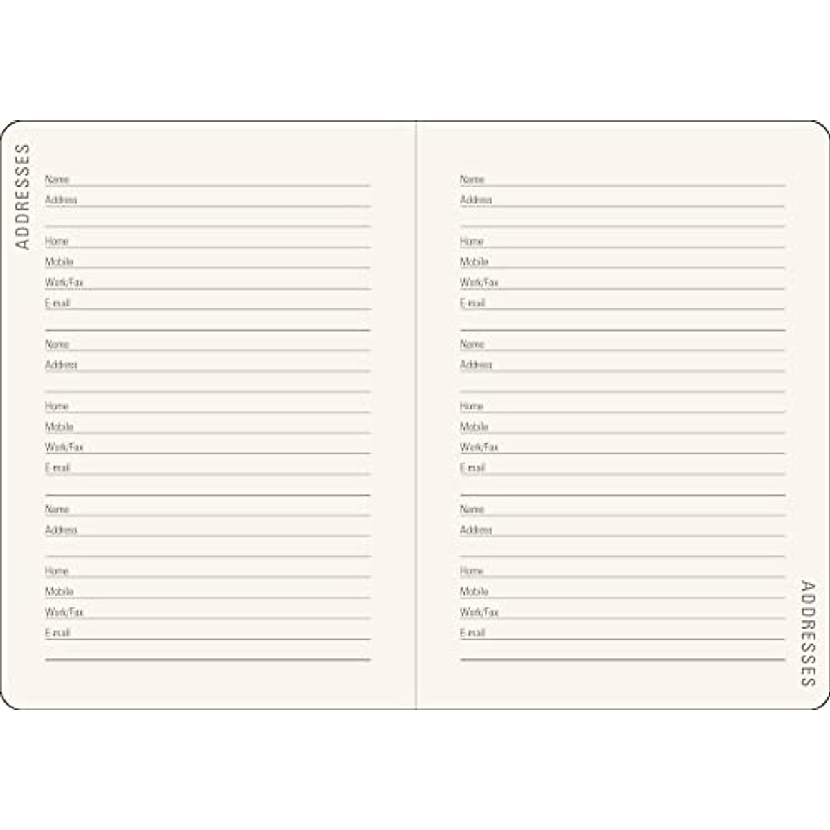 2024 Amethyst Butterflies Weekly Planner (16 months, Sept 2023 to Dec 2024)