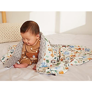 Baby Blanket for Boys Girls Double Layer Soft Plush Minky Blanket with Dotted Backing, Toddler Baby Newborn Blanket Shower Gifts (Cute Animal, 30 X 40 inches)
