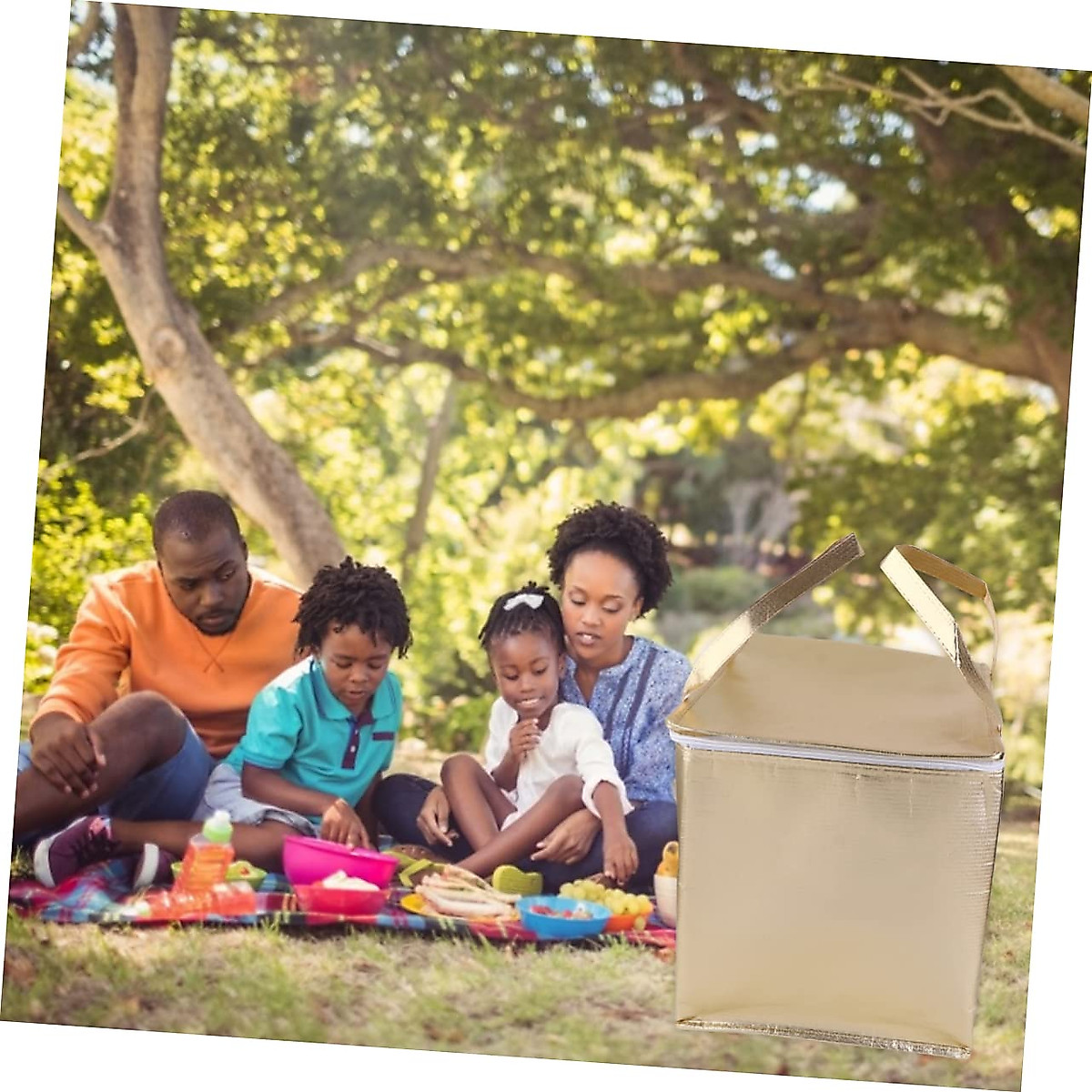 TIDTALEO 1Pc insulated portable Insulation bags Cake Cooler Bag ice bag grocery tote bag zip tote bag non-woven fabric lamination cake printable