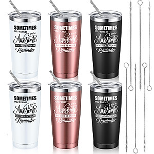 Nuogo Thank Gifts Appreciation Gift for Women Men You're Awesome Stainless Steel Insulated Tumbler with Lids and Straws for Coworker Employee Teachers Nurse Gifts, 20 oz (Classic Colors,6 Sets)