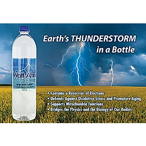 AquaNew's Watt-Ahh® - Premium Polarized Water for Energy and Health - Case of 12 - 1 Liter Bottles