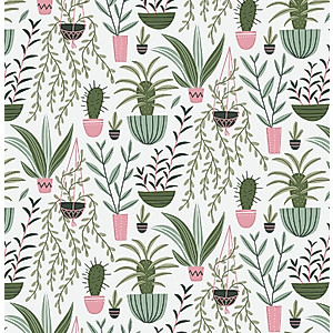 Stesha Party Plant Wrapping Paper Gift Wrap - Folded Flat 30 x 20 Inch - 3 Sheets