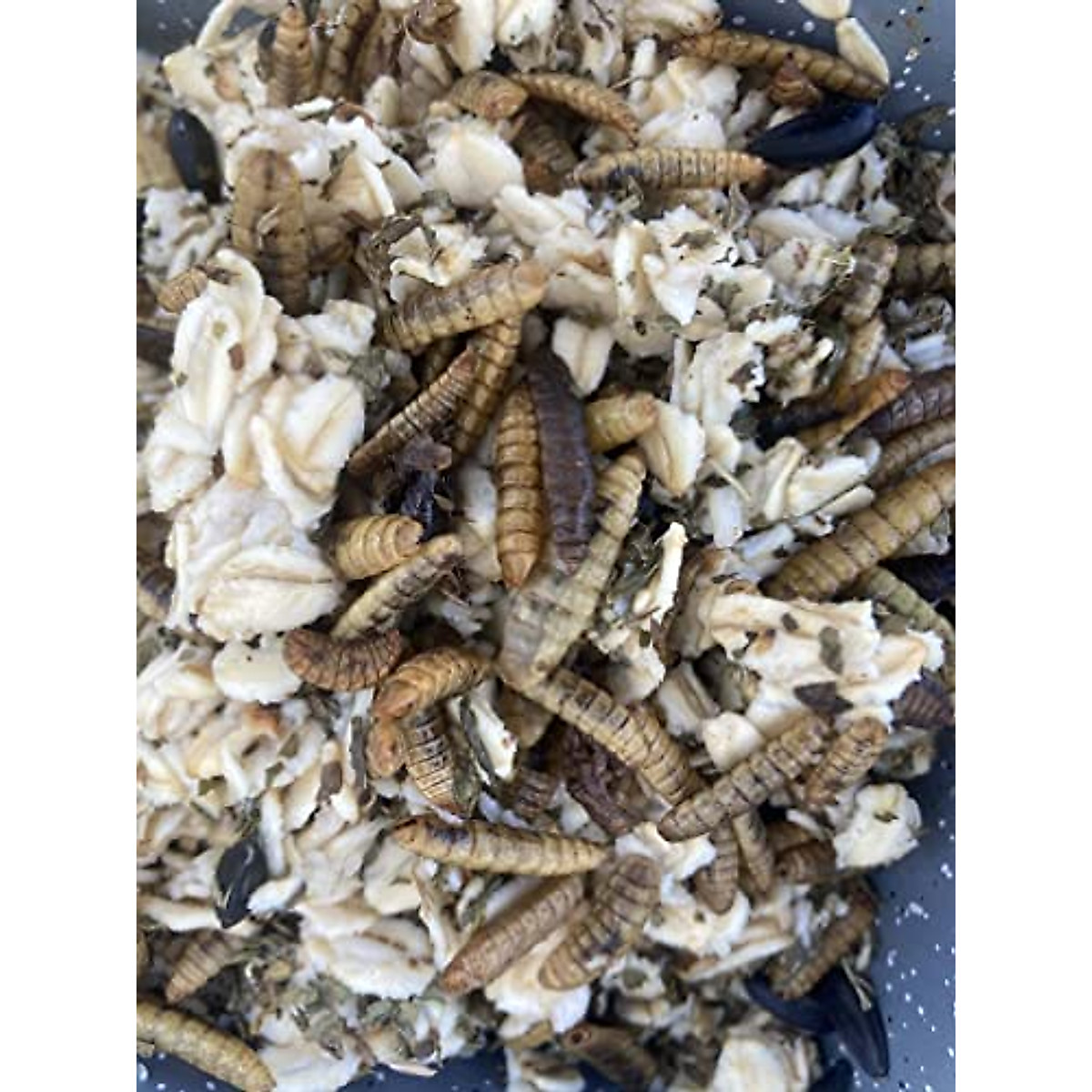 USA Black Soldier Fly Grub, Oatmeal, & Herb Chicken Scratch Treat for Backyard Hens: Non-GMO, Healthy Backyard Chicken Feed and Supplies, Cold Winter Nights (4 pounds)