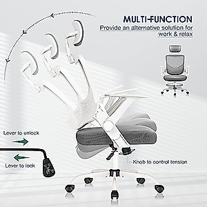 Furmax Office Chair Mesh Desk Chair Ergonomic Chair with Adjustable Headrest and Flip-up Armrests, Swivel Computer Chair with Comfortable Back and Lumbar Suport (Grey)