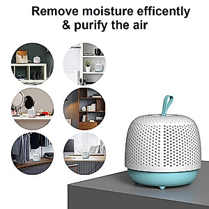 LUOWAN MINI Dehumidifier Portable Small Dehumidifier for Wardrobe,Dressing table,Cloakroom,Shoebox,Car,Bedroom,Bathroom(Blue)