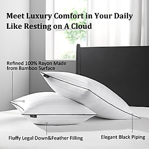 downluxe Goose Down Pillows - Hotel Collection Feather Pillows for Back, Stomach or Side Sleepers, Down Pillows King Size Set of 2 (20"x36")