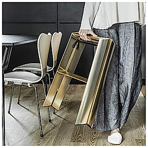 Hasegawa Ladders Lucano Step Stool Premium Edition 2 Step Gold