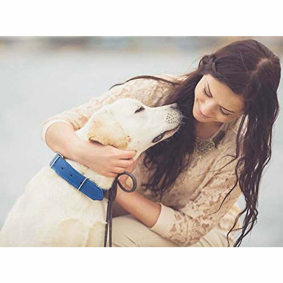 dog digestive health - DOG DIGESTIVE AID PROBIOTICS - NATURAL APPROACH - SOLUTION TO BAD BREATH AND GAS - COUNTER DIARRHEA - dog probiotics bone - 2 Bottles (120 Treats)