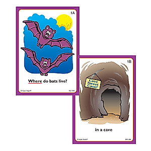 Super Duper Publications | Ask and Answer® Where Questions Fun Deck | Communication and Language Processing Skills Flash Cards | Educational Learning Materials for Children