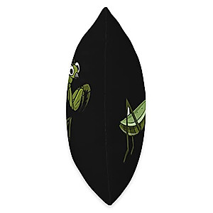 Cute Praying Mantis Lovers Fan Shirts Praying Mantis Shirt Cute Kids Play Throw Pillow, 16x16, Multicolor