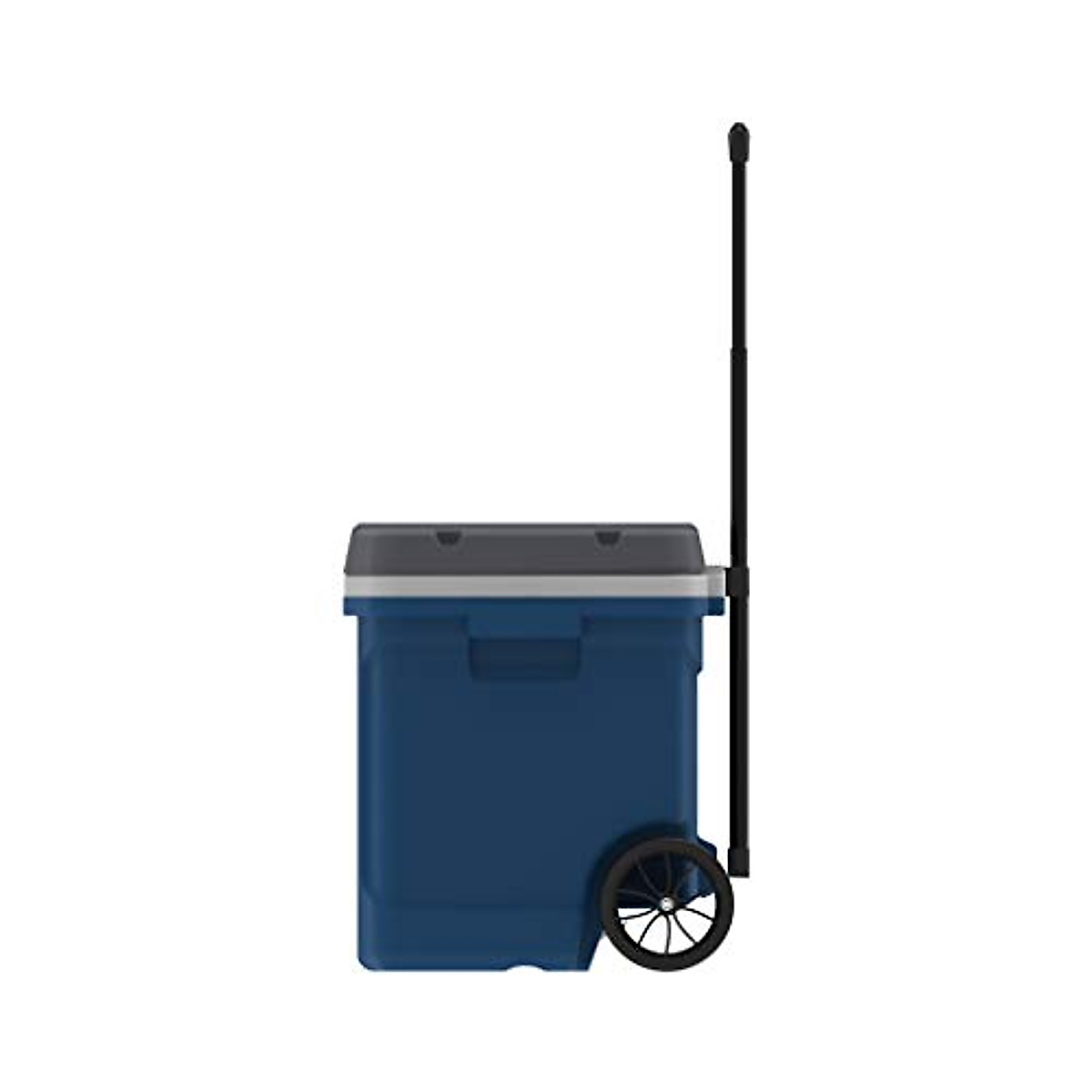 Igloo 00034664 Latitude 60 Roller Indigo Blue, White, Meteorite, Black