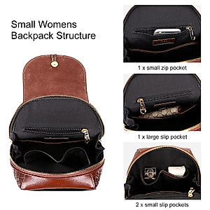 PIJUSHI Small Crocodile Leather Backpack Purse for Women Fashion Casual Backpack Crocodile Bag (B66810 brown)