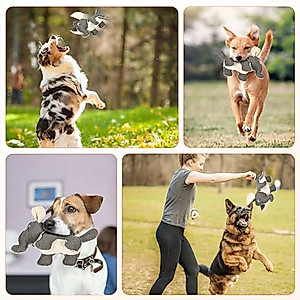 IOKHEIRA Dog Squeaky Toys, Tug of War Dog Plush Toy for Large Breed, Cute Animals Toys with Cotton Material and Crinkle Paper,Tough Chewing Toys for Puppy Breed (Seal, Elephant)