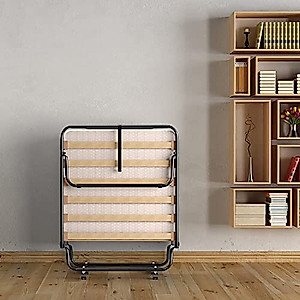 Renatone Folding Bed with Mattress, Portable Guest w/ 4 inch Memory Foam Sturdy Metal Frame, Rollaway Cot Size for Adults, Sleeper Bedroom, Living Room, Office, Camping Clear Small Single