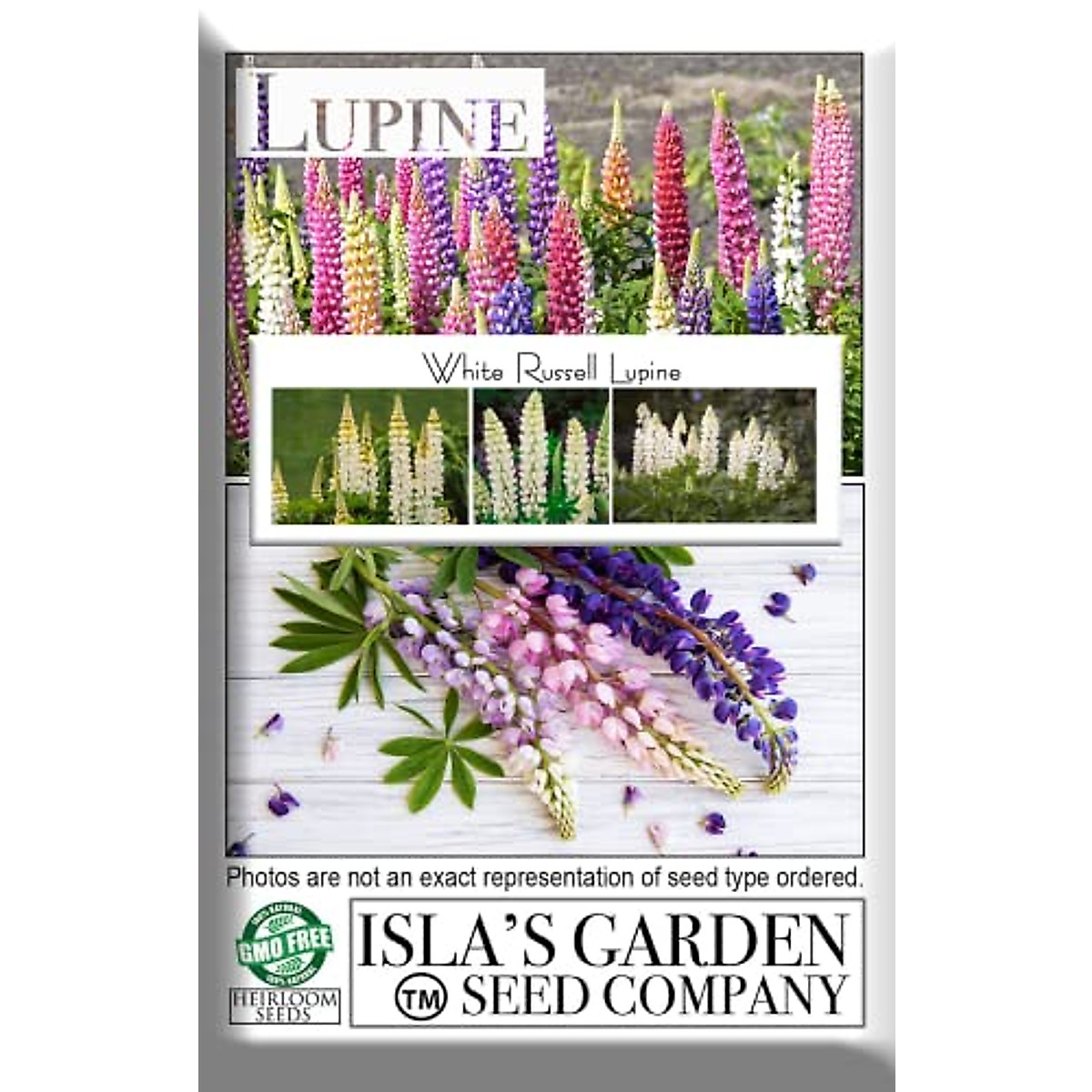 White Russell Lupine Seeds for Planting, 100+ Flower Seeds Per Packet, (Isla's Garden Seeds), Non GMO & Heirloom Seeds, Botanical Name: Lupinus polyphyllus, Great Home Flower Garden Gift