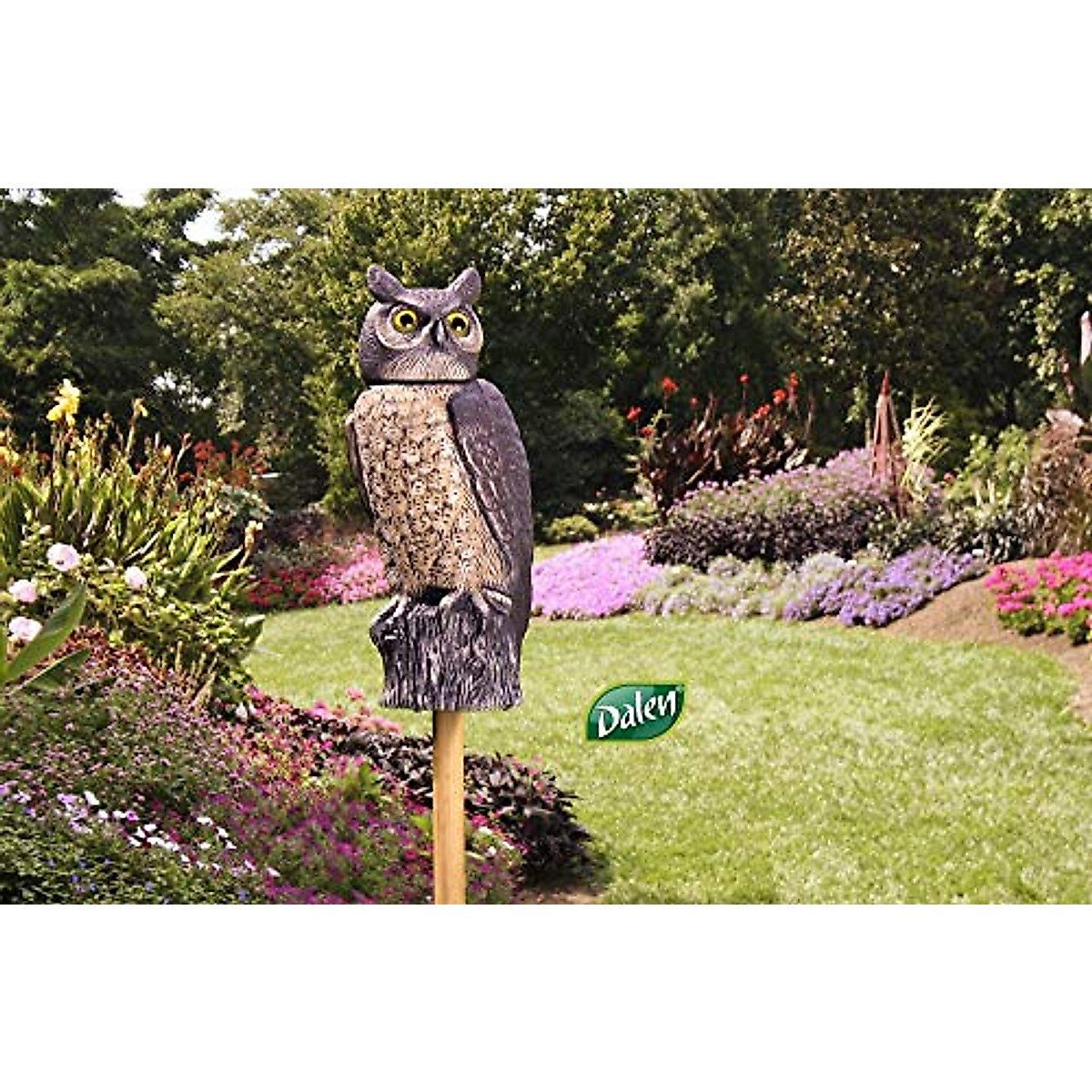 Dalen SOL-R Action Solar Fake Owl Decoy to Scare Birds Away from Gardens, Rooftops, and Patios - Scarecrow Provides Chemical-Free Pest Control - Safe and Humane, 18" 360º Rotating Head