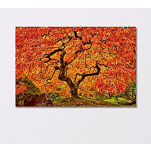 Japanese Maple in Autumn Canvas Print 5 Panels / 36x24 inches