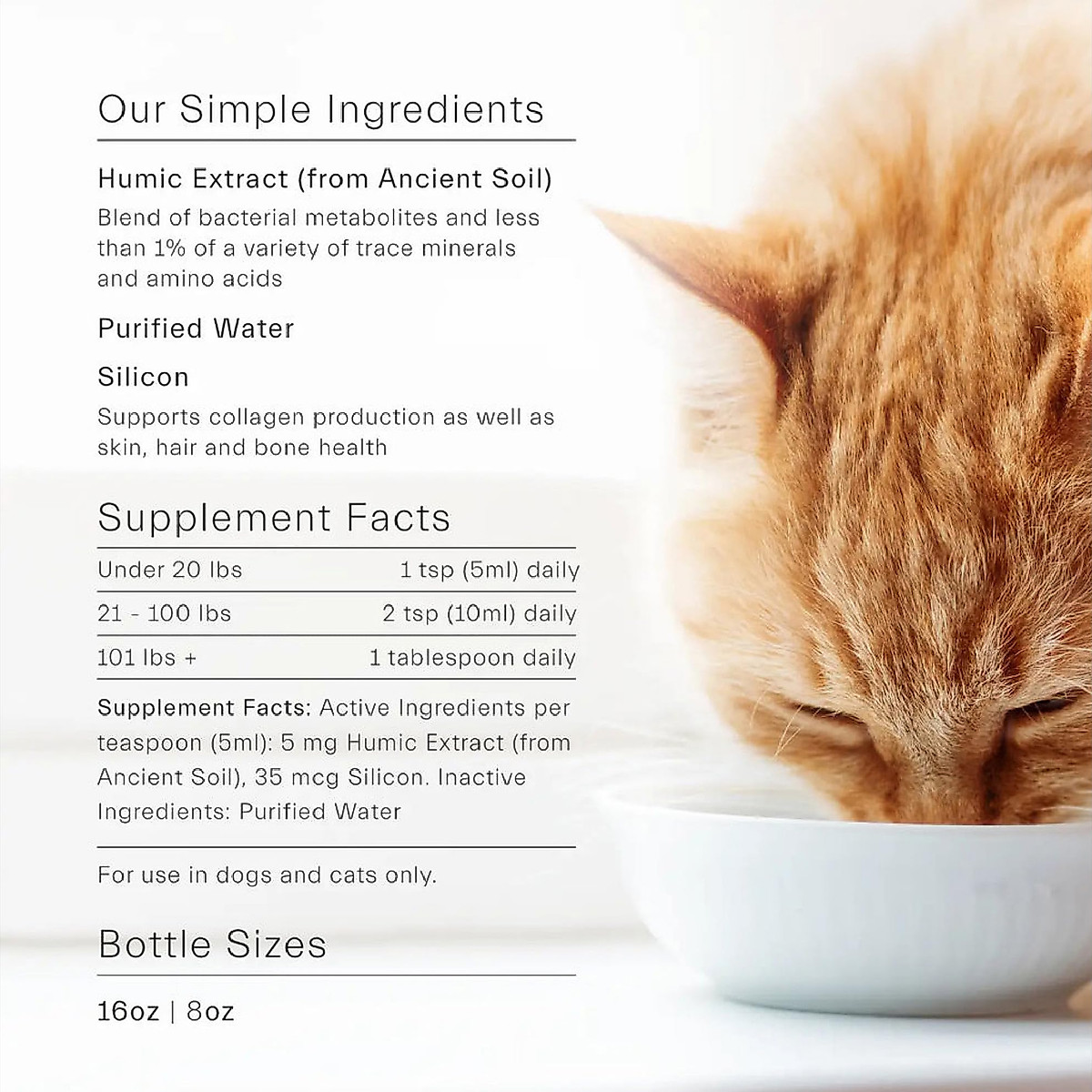 ION Intelligence of Nature Gut Support for Pets | Strengthens Digestion, Supports Kidneys, Aids Immune Function, and Defends from Food Toxins (16 Ounce)