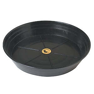 Champion Sports FPSL Exercise & Fitness Ball - 9" H x 13" L x 12" W - Rubber