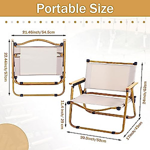 Lallisa 2 Pcs Camping Chair Ultralight Camp Chair, Thicken 600D Oxford Low Lawn Chairs for Concerts Light Portable Folding Beach Chair Supports 253 lbs Carbon Steel Armchairs for Hiking Fishing Picnic