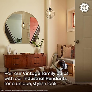 GE Vintage Style LED Light Bulbs, 60 Watt, Amber Finish, ST19 Edison Style Bulbs (6 Pack)