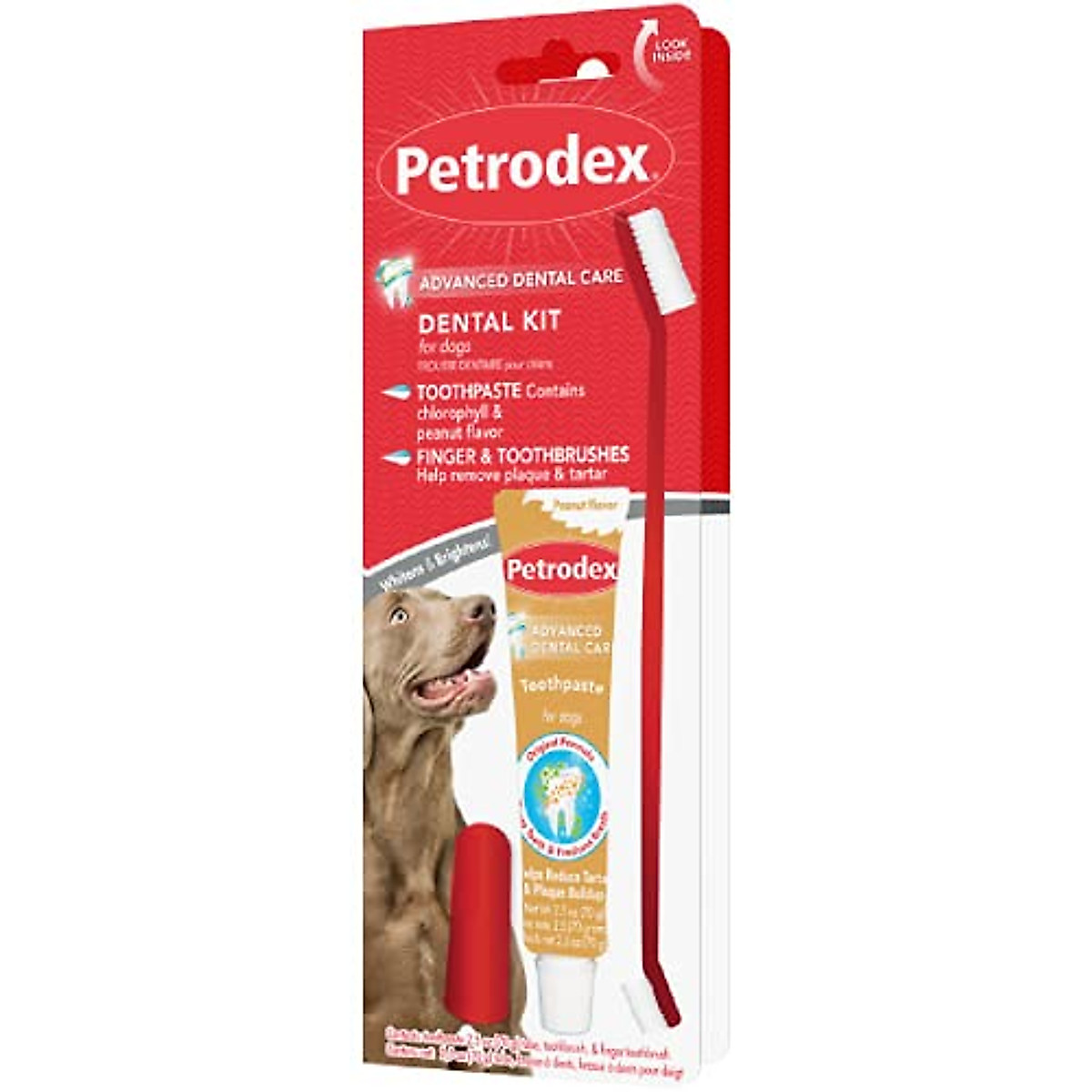 Petrodex Dental Care Kit for Dogs, Toothpaste and Toothbrushes, Peanut Flavor, 3-Piece Kit