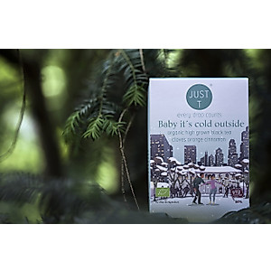 JUST T Baby It´s Cold Outside Pyramid Tea Bag (20 pcs) | Organic Black Tea – Mixed with Cloves, Orange and Cinnamon | Biodegradable Organic Tea Bags – Premium High-Grown Leaf Tea for All Tea Lovers