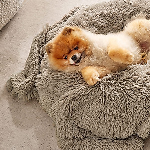 Bedsure Waterproof Dog Blankets for Small Dogs - Calming Cat Blanket for Couch Protector Washable, Long Faux Fur Pet Throw Blanket for Puppy, Reversible Furniture Protection, 25"x35", Brown