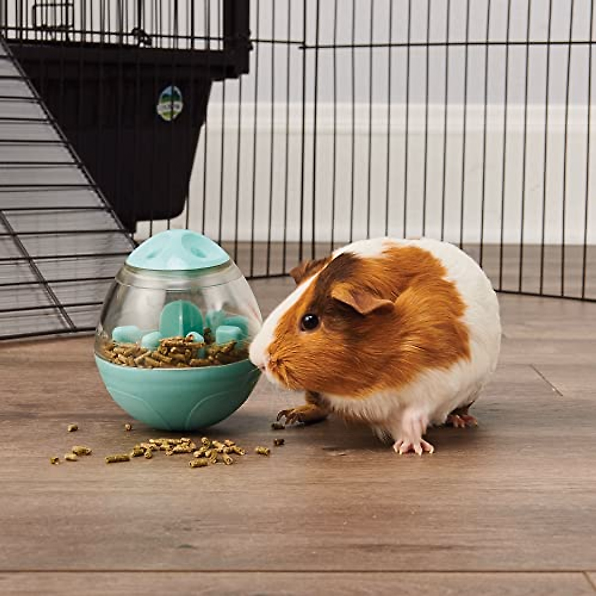 Oxbow Enriched Life Wobble Teaser Food & Treat Dispenser for Guinea Pig, Medium