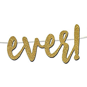 Best Day Ever Banner - Premium Gold Glitter Cardstock Paper - Larger Text For Better Visibility - Perfect Decoration For Bridal Shower, Engagement, Bachelorette, Wedding Party