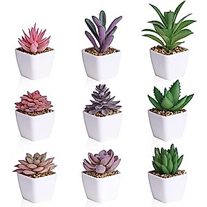 CEWOR 9pcs Artificial Succulent Plants in Pots, Faux Succulents Small Potted Fake Plants with Plastic Pots for Office Home Desk Shelves Bedroom Decoration