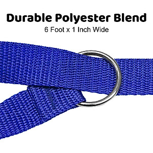 Downtown Pet Supply - 6ft Dog Kennel Slip Lead Dog Leash - Veterinarian, Dog Grooming, Daycare & Animal Rescue Dog Supplies - One Size Leads for Dogs Bulk - 1" Thick 6 Pack