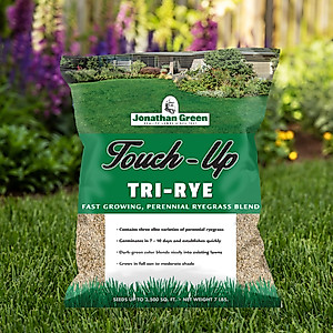 Jonathan Green (12120) Touch-Up TRI-RYE Perennial Ryegrass Grass Seed - Cool Season Lawn Seed (3 lb)