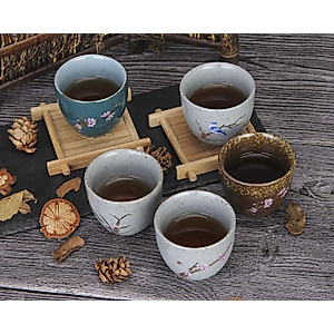 VanEnjoy Set of 5 Hand-Drawn Traditional Chinese Ceramic Teacup Tea Cups, Floral and Bird Pattern, Bulk Teacup in Gift Box (Floral Birds)