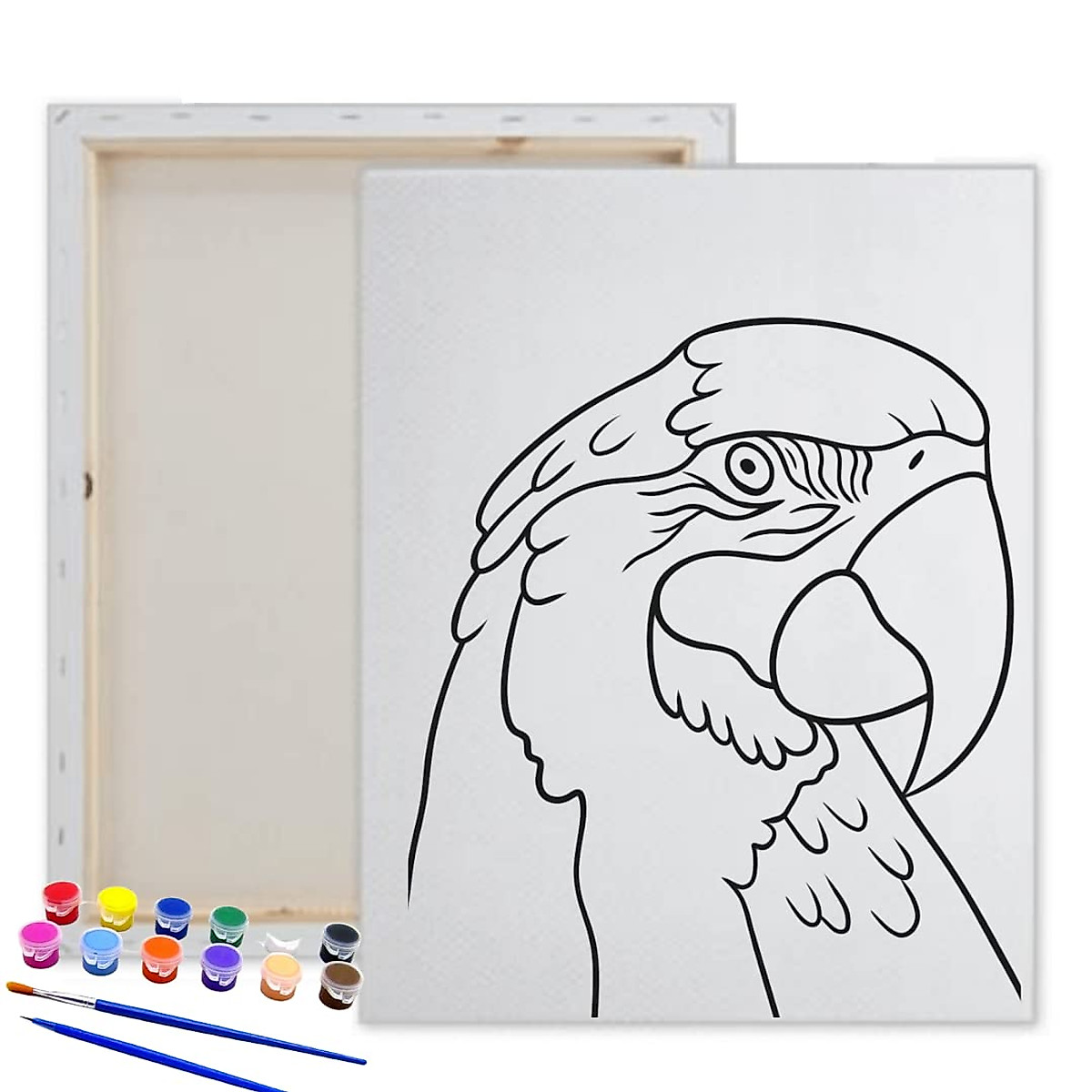 Essenburg Pre Drawn Canvas Parrott Paint Kit | Adult & Teen Sip and Paint Party Favor | DIY Date Night Couple Activity (S 8x10 CANVAS ONLY)