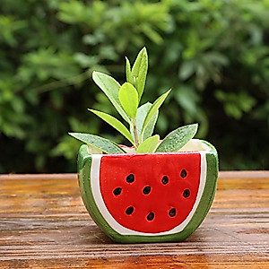 WAIT FLY Set of 3 Cute Watermelon Shape Ceramics Planters Gardening Pots Decoration for Cactus Succulent Flower Decoration for Home Garden