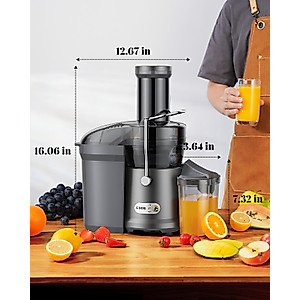 GDOR 1200W Juicer with Larger 3.2" Feed Chute, Titanium Enhanced Cutting System, Centrifugal Juice Extractor Maker with Heavy Duty Full Copper Motor, Dual Speeds, BPA-Free, Gun Grey