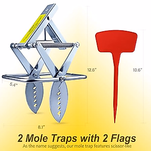 Mole Trap Scissor 2 Pack, Upgraded Mole Traps for Lawns That Kill Best, Galvanized Steel Mole Killer, Easy Step Setup