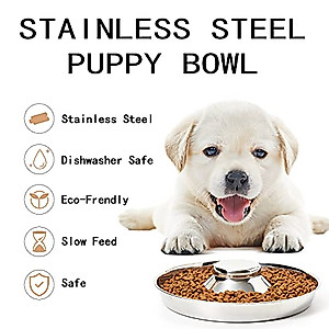 Thankspaw Stainless Steel Puppy Bowls, Set of 2 Puppy Feeder, Dog Food and Water Bowl, Food Feeding Weaning for Small Medium Large Dogs, Pets, M