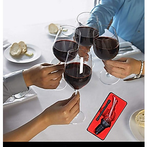 Wine Aerator Pourer Woodpecker Pourer Aerating Non Drip Spout Wine Accessory with Case